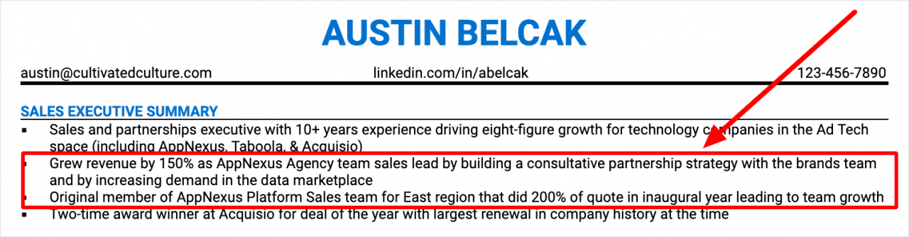 How To Write A Resume Summary That Works In 2023 (8+ Examples)