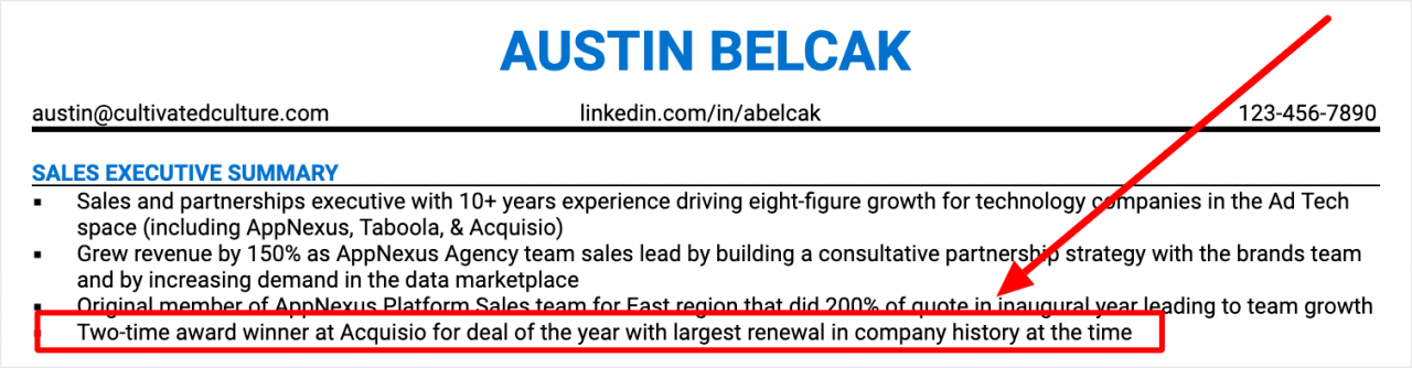 How To Write A Resume Summary That Works In 2024 (8+ Examples)