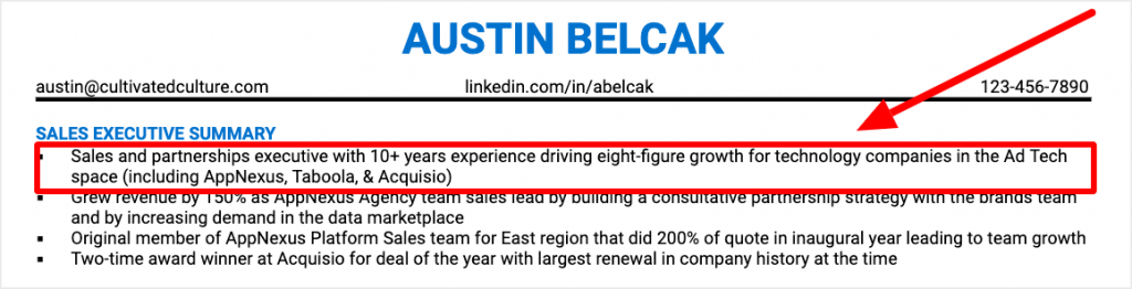 How To Write A Resume Summary That Works In 2024 (8+ Examples)