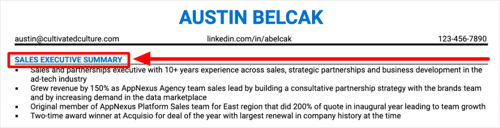 How To Write A Resume Summary That Works In 2023 (8+ Examples)