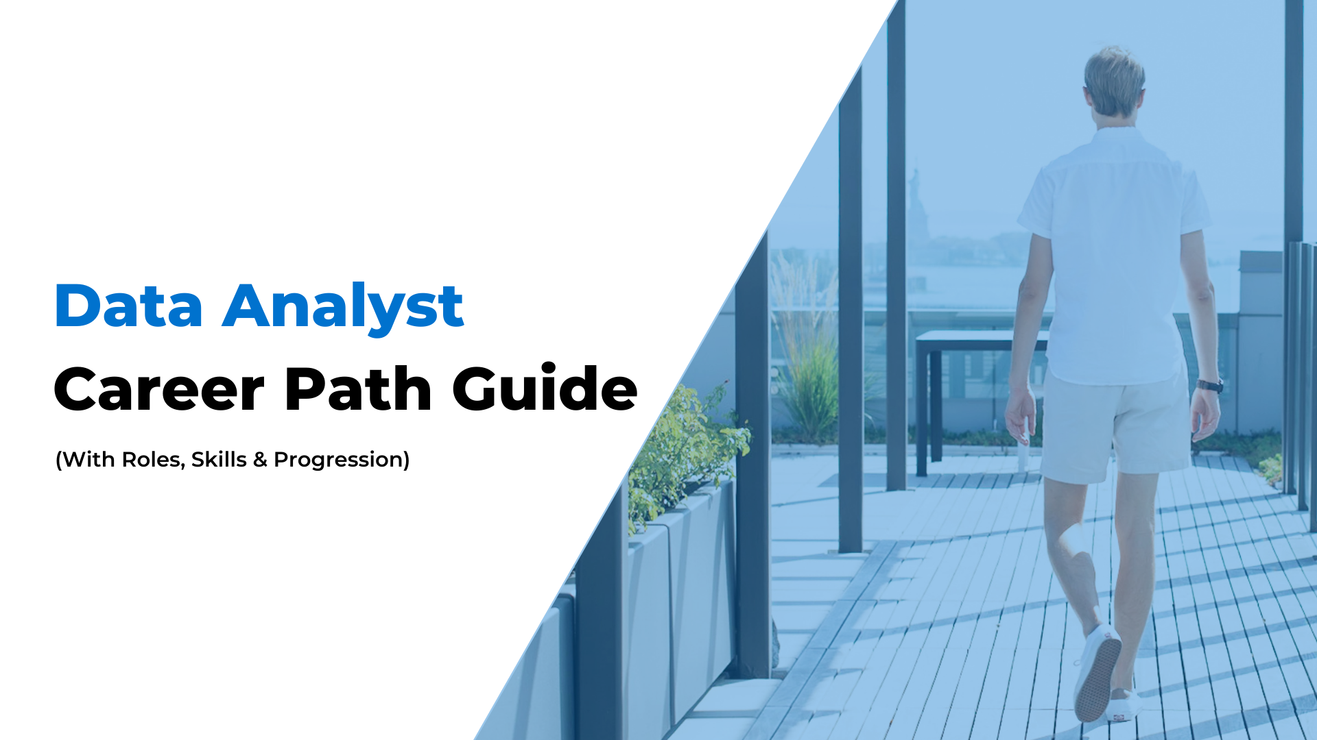 Data Analyst Career Path Guide [Roles, Progression, Skills, Salaries & More!] - Cultivated Culture