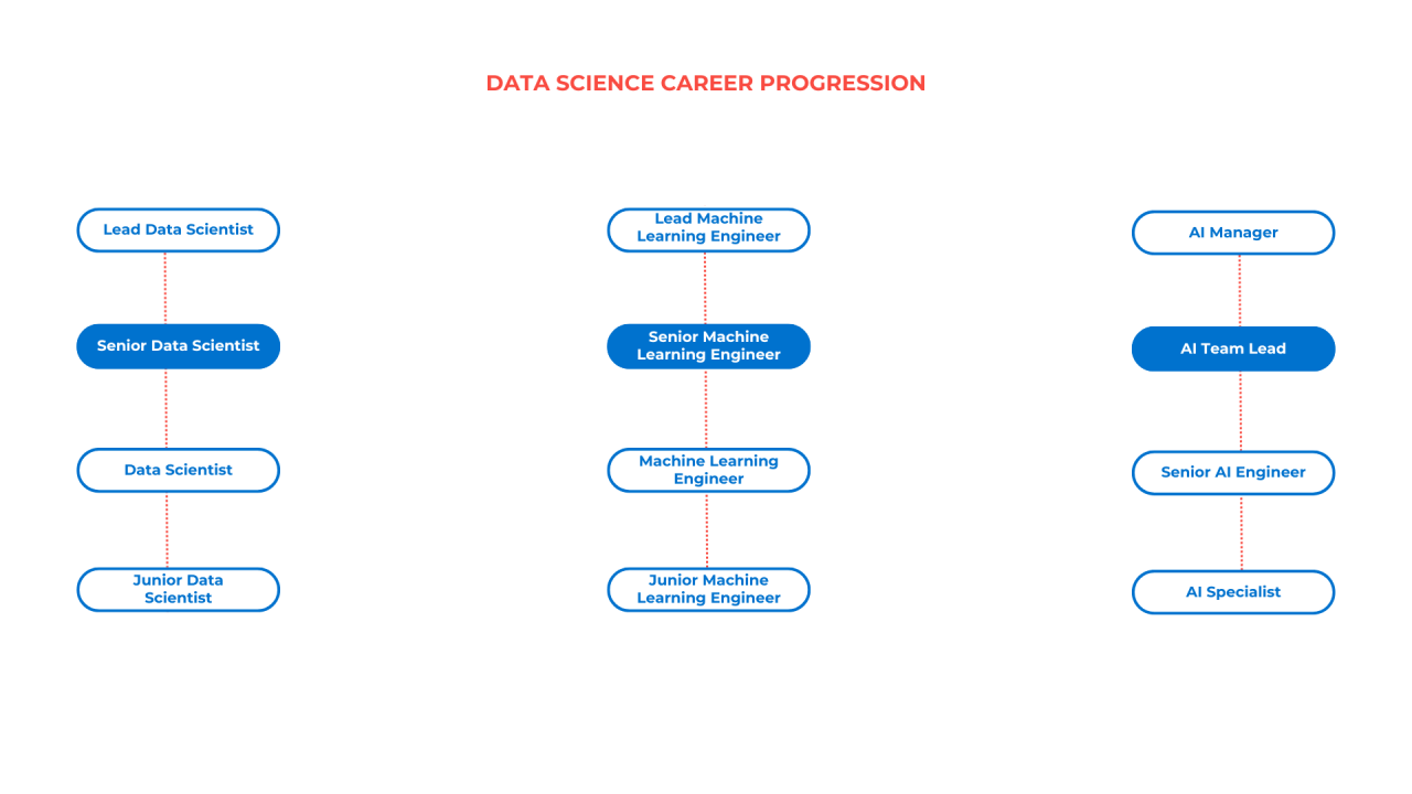 Data Science Career Path Progression - Cultivated Culture